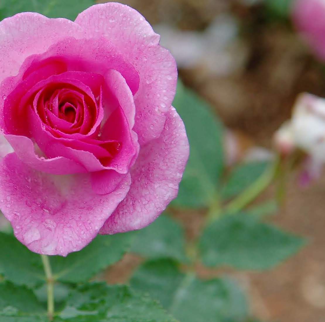 Introduction to Device Trees - 5